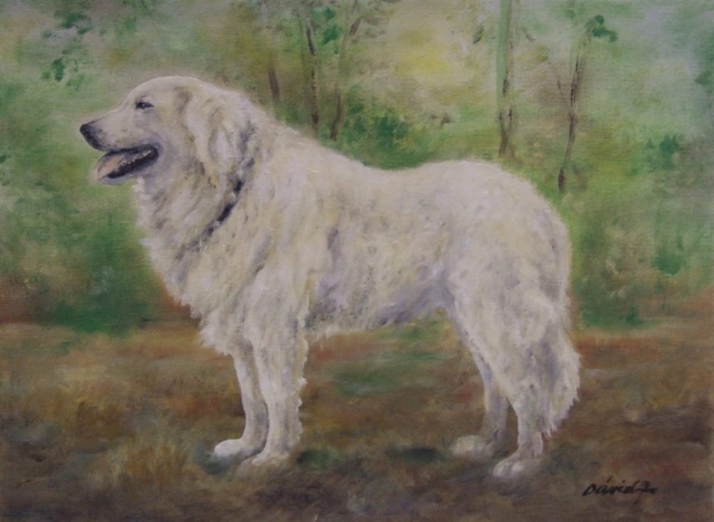 Dávid Zoltán - Vitéz | Vándorfény Galéria